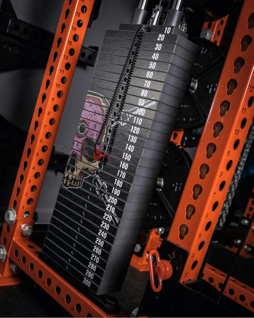 Plate Snacks | Weight Plate Decals