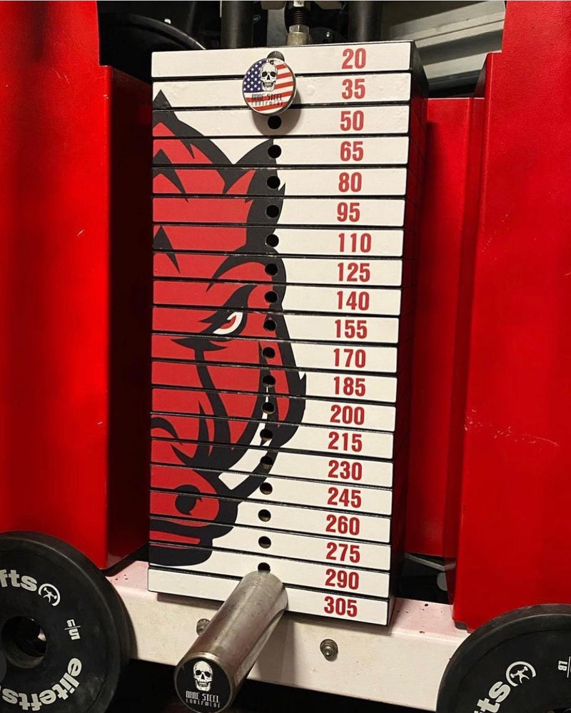 Plate Snacks | Weight Plate Decals